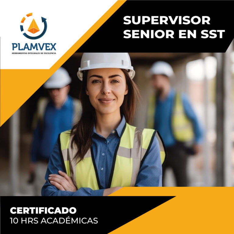 Supervisor Senior en SST – PLAMVEX